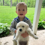 Golden Retriever Puppies For Sale | Garrett County Goldens | Maryland